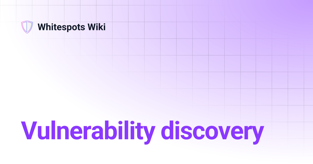 Vulnerability discovery | Whitespots Wiki